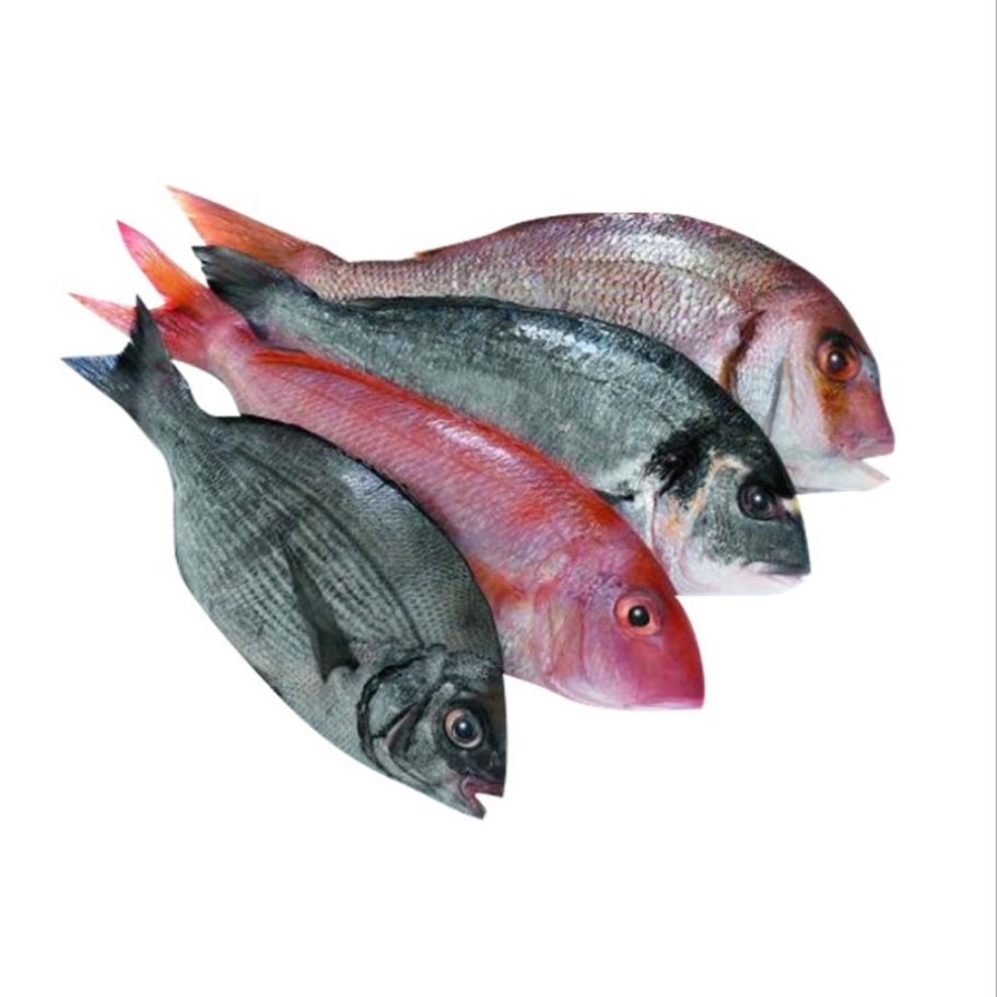 MiX Fish Frozen Block 250g | SuperHut
